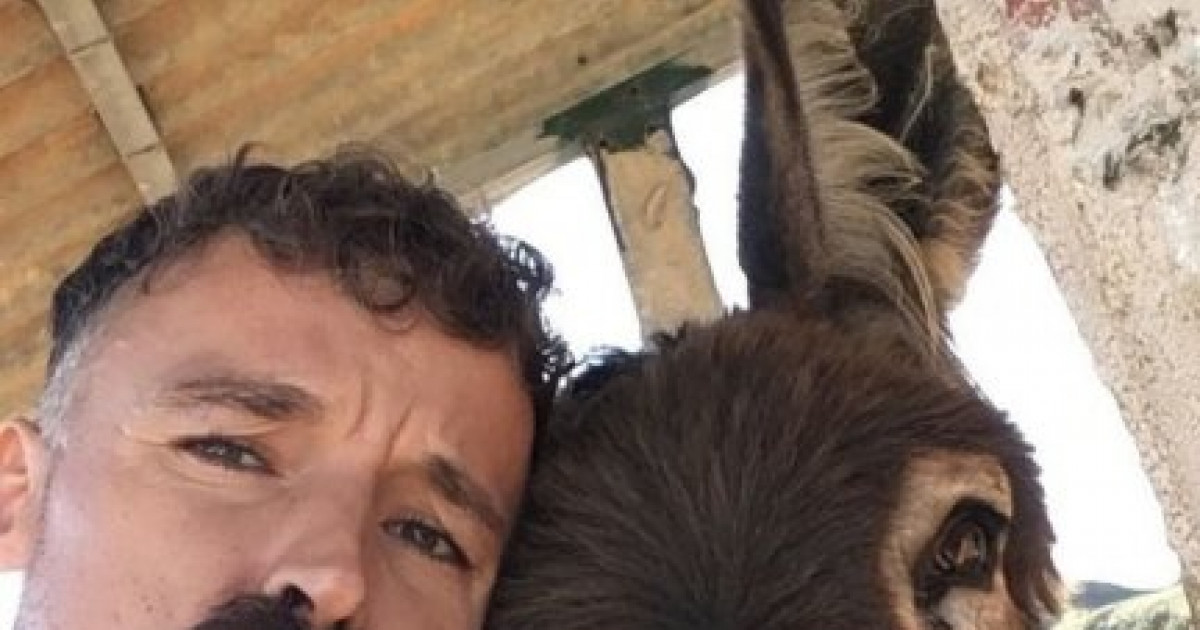 El vídeo de la burrita “Baldomera” que te emocionará