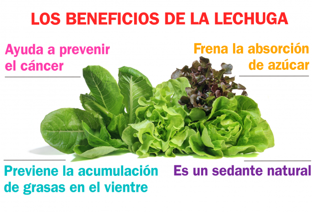 El infográfico: la lechuga