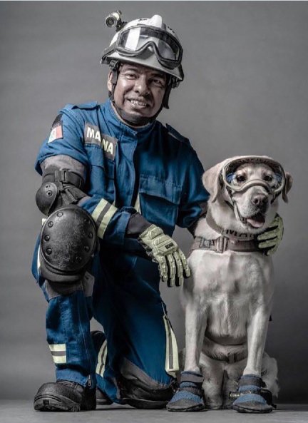 Perros héroes que salvan vidas