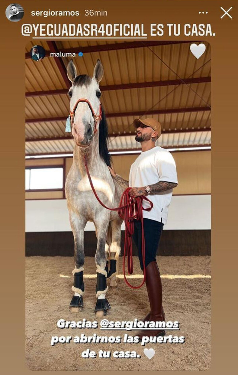 Sergio Ramos le vende un carísimo caballo a Maluma